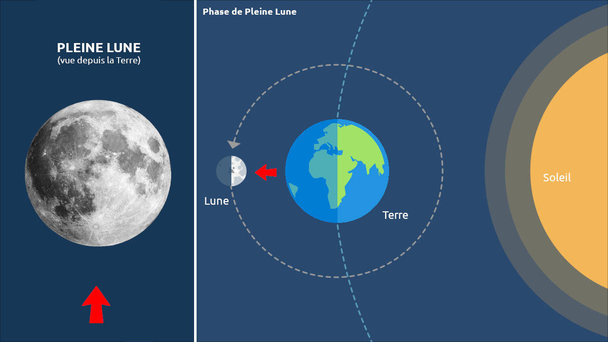 PLEINE LUNE Calendrier 2025 2026 Des Phases Lunaires