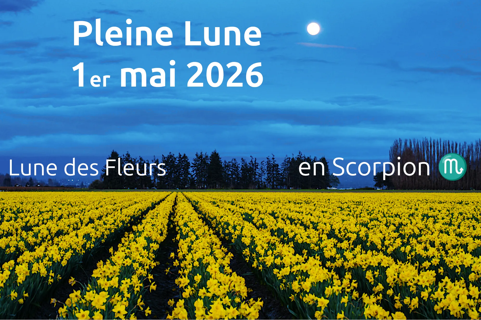 Pleine Lune du 1 mai 2026 en Scorpion ♏ ⇒ Infos & Astro